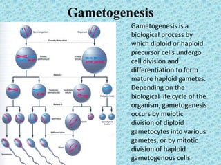 Cellular reproduction ppt | PPTX