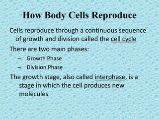 Cellular reproduction ppt | PPTX