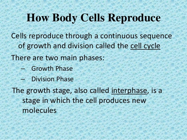 Cellular Reproduction Ppt