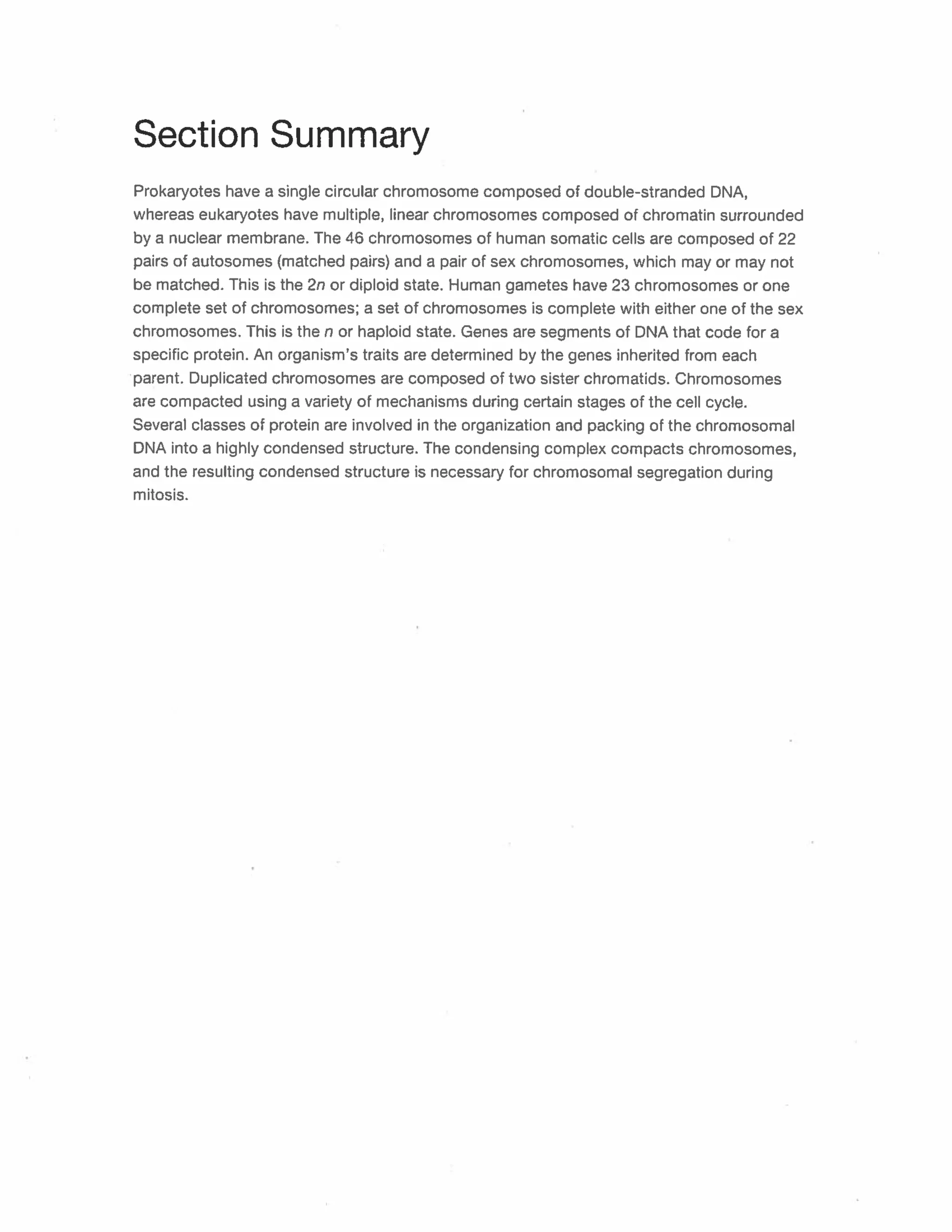 Cellular reproduction sqr3 d reading | PDF