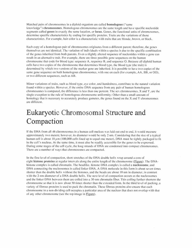 Cellular reproduction sqr3 d reading | PDF