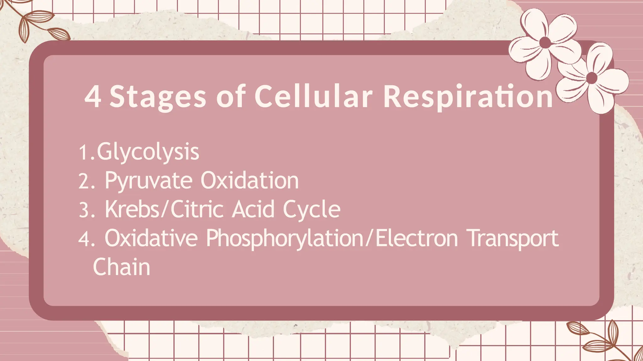cellular resperation_20250908_202534_0000.pptx