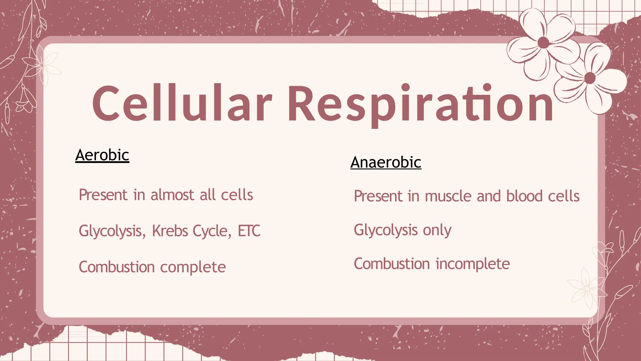 cellular resperation_20250908_202534_0000.pptx