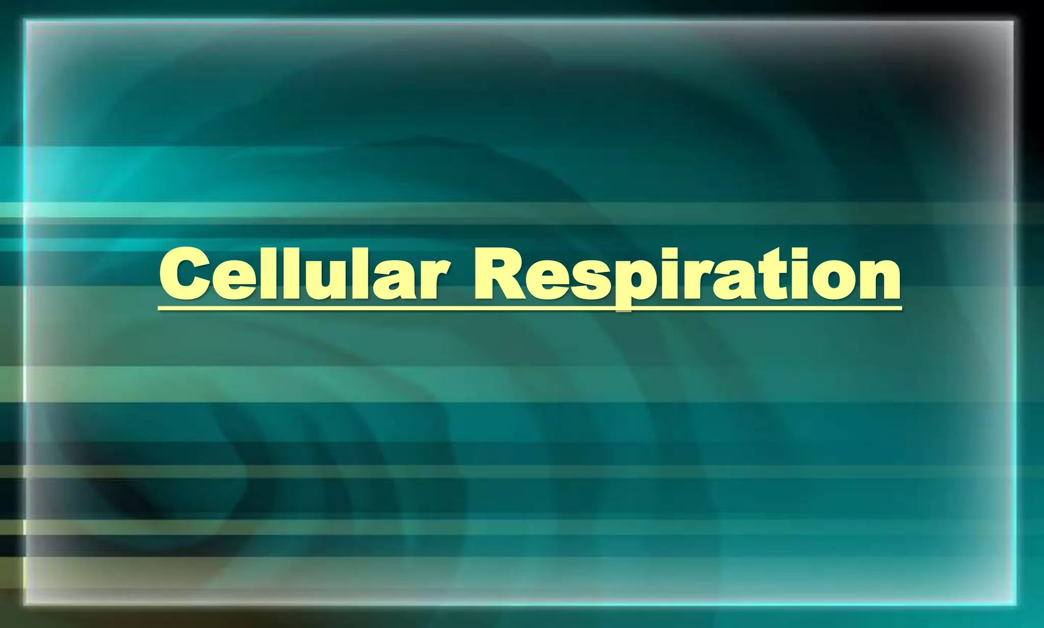 cellular respiratio.ppt