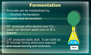 cellular respiratio.ppt