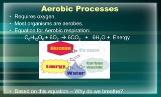 cellular respiratio.ppt