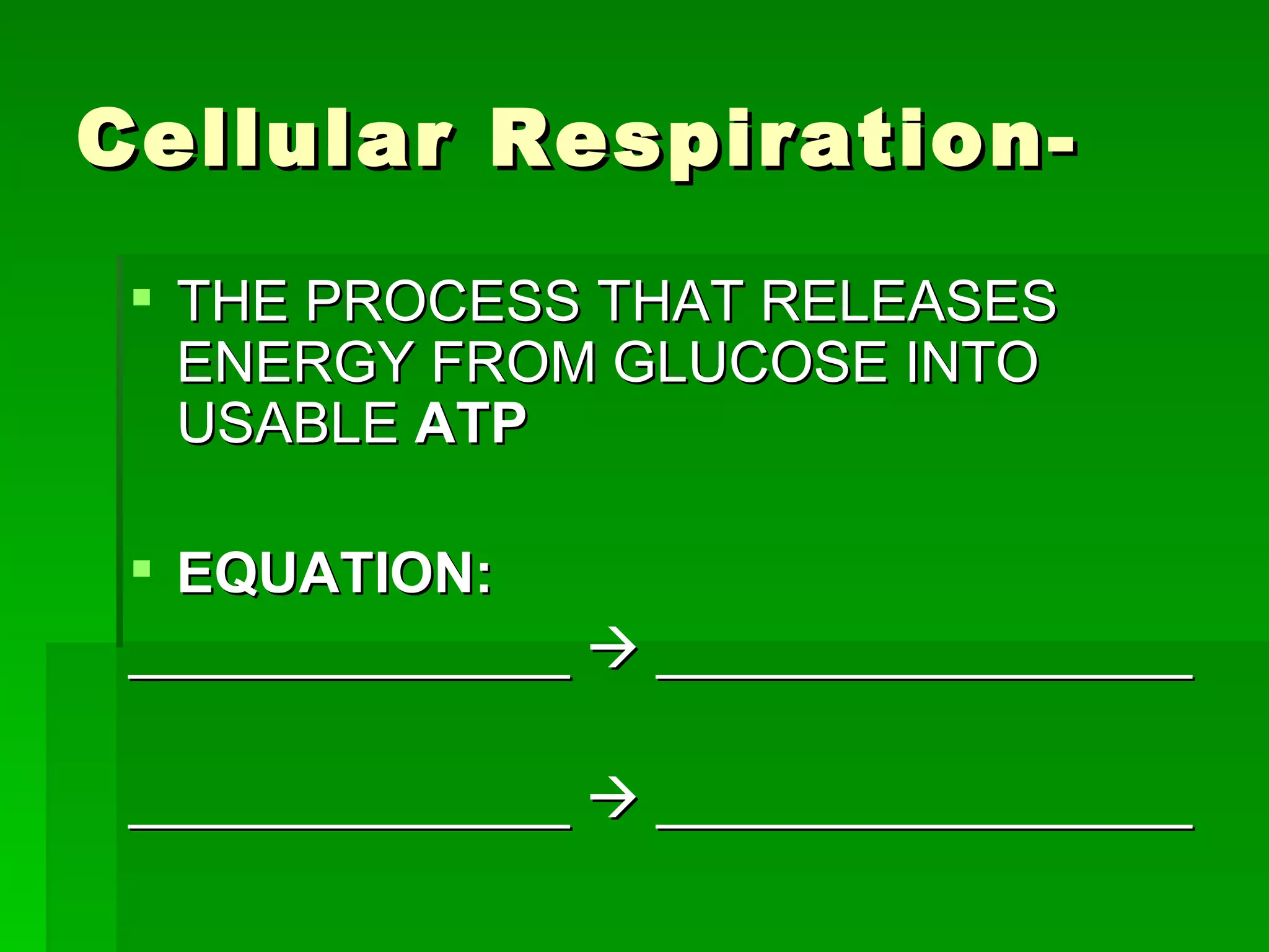 Cellular Respiration | PPT