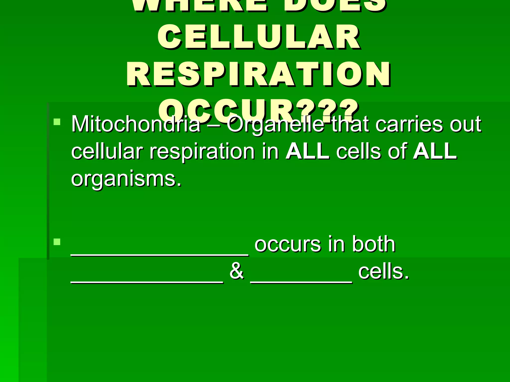 Cellular Respiration | PPT