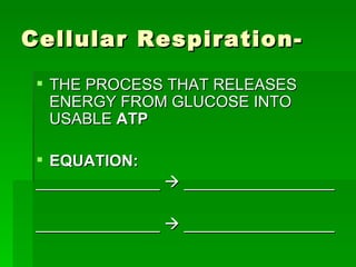 Cellular Respiration | PPT
