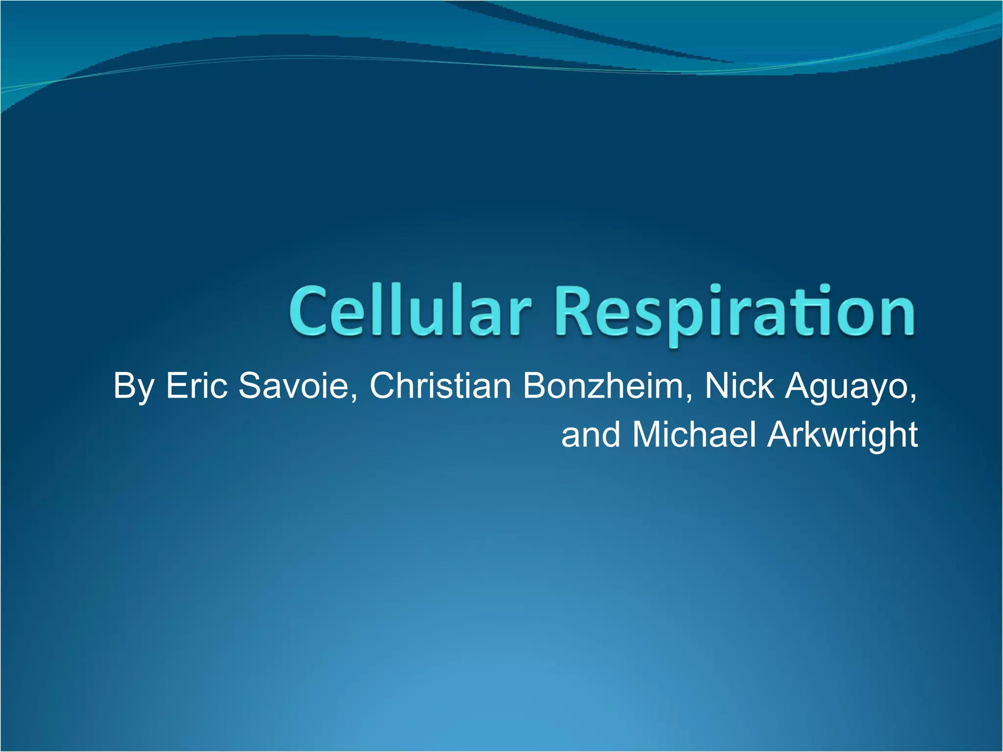 Cellular Respiration | PPT | Chemistry | Science