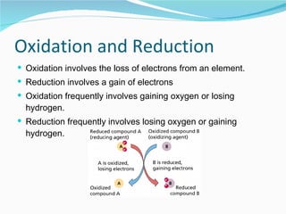 Cellular Respiration | PPT
