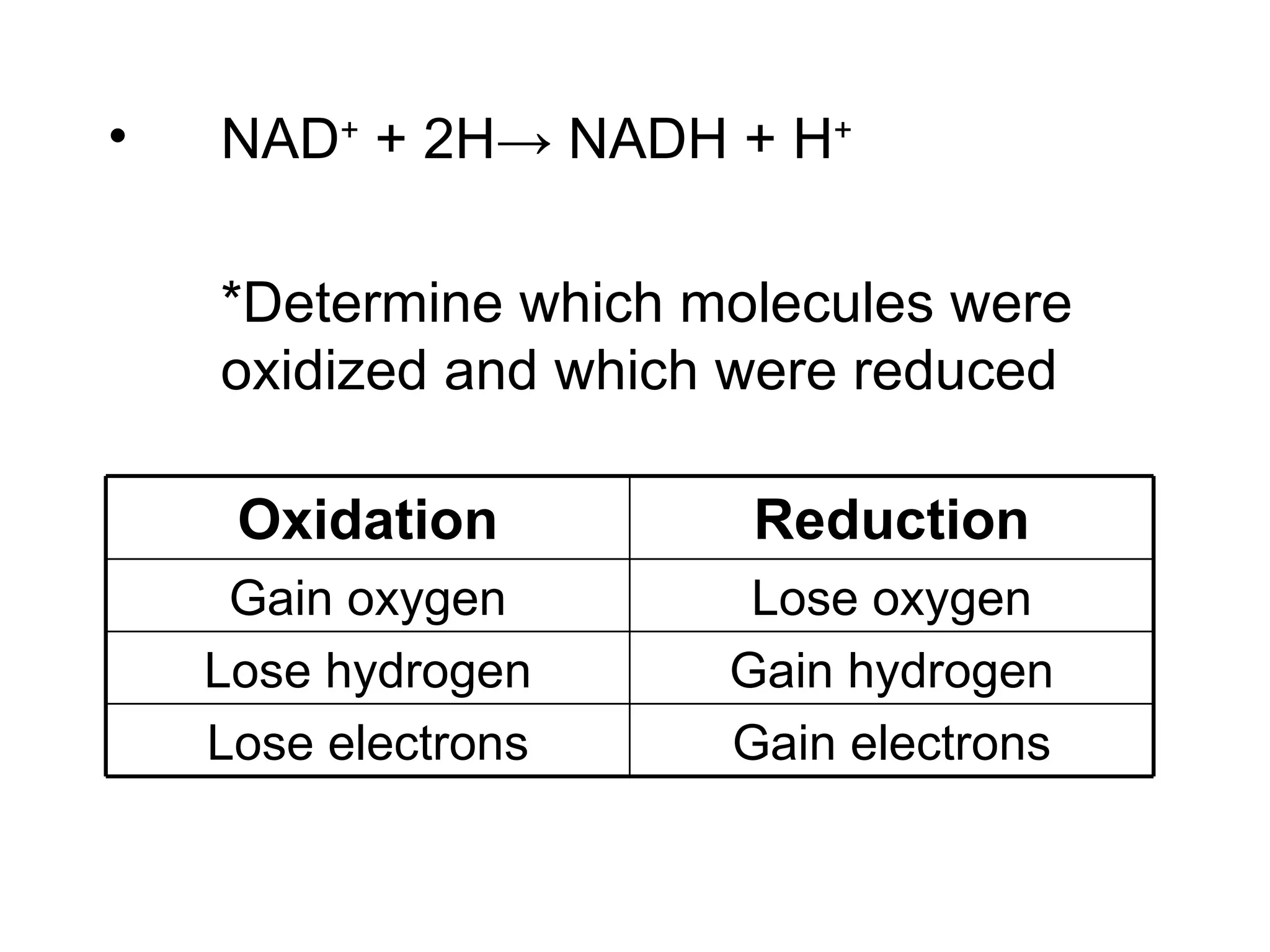 IB Biology HL Cellular respiration | PPT