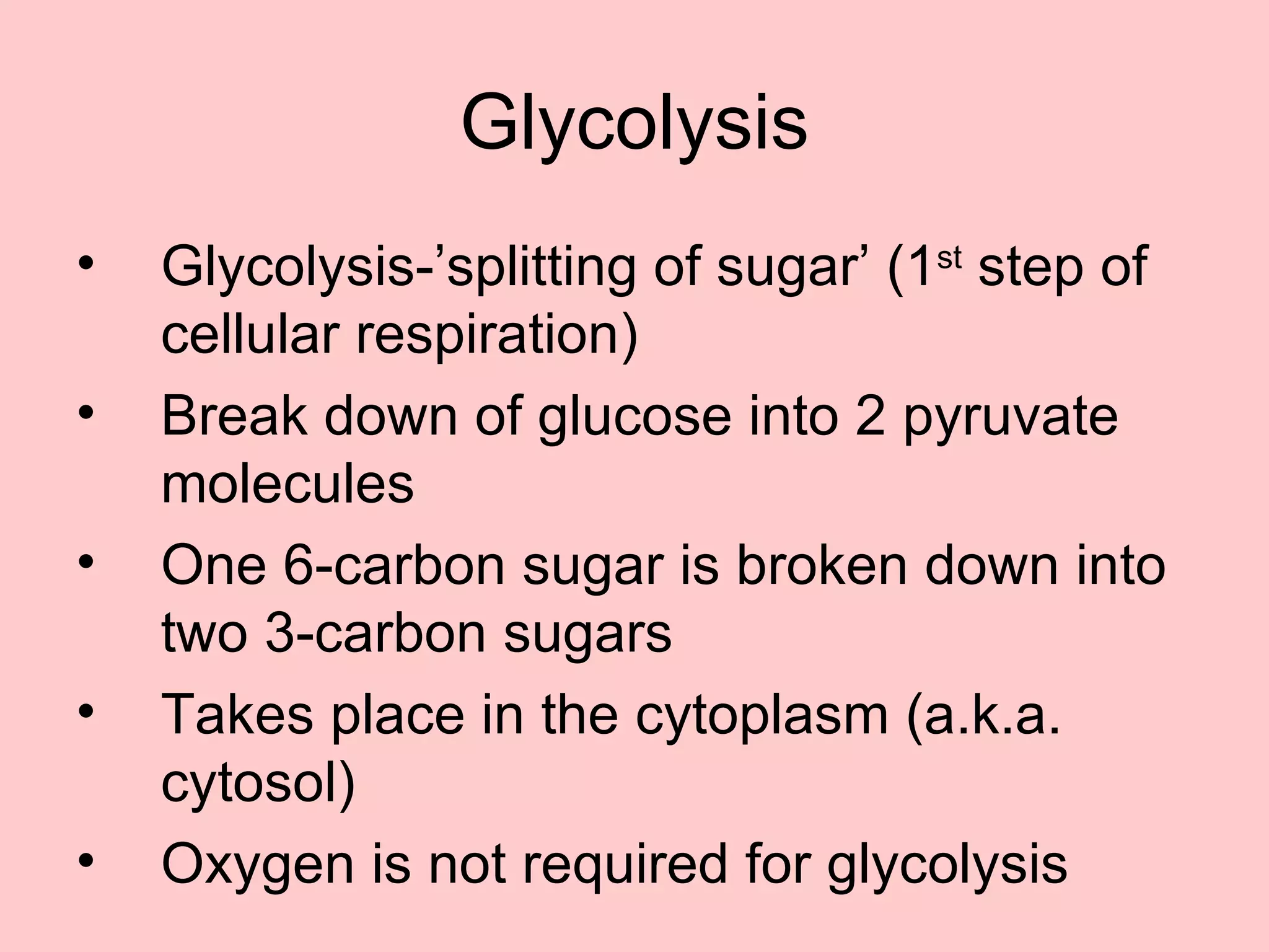 Cellular Respiration PowerPoint | PPT