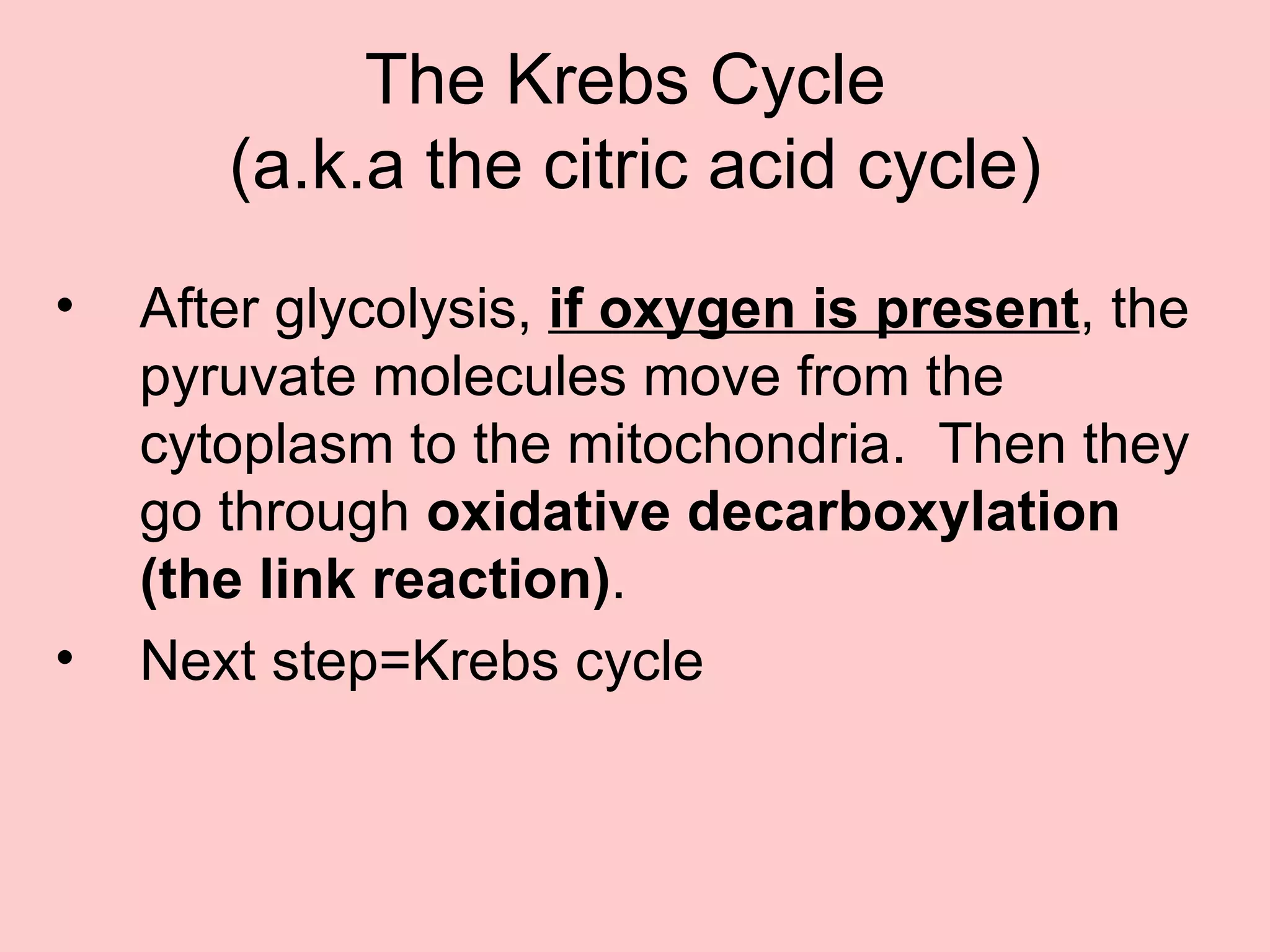 Cellular Respiration PowerPoint | PPT