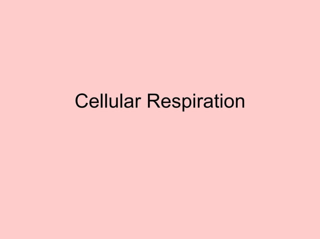 Cellular Respiration PowerPoint | PPT