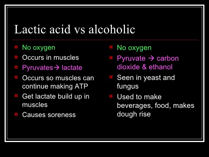 Cellular Respiration