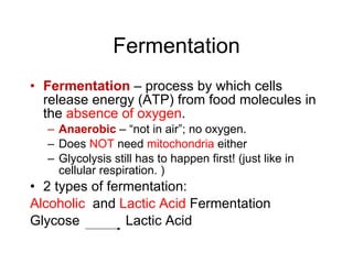 Cellular respiration | PPT