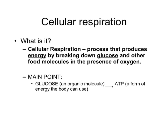 Cellular respiration | PPT