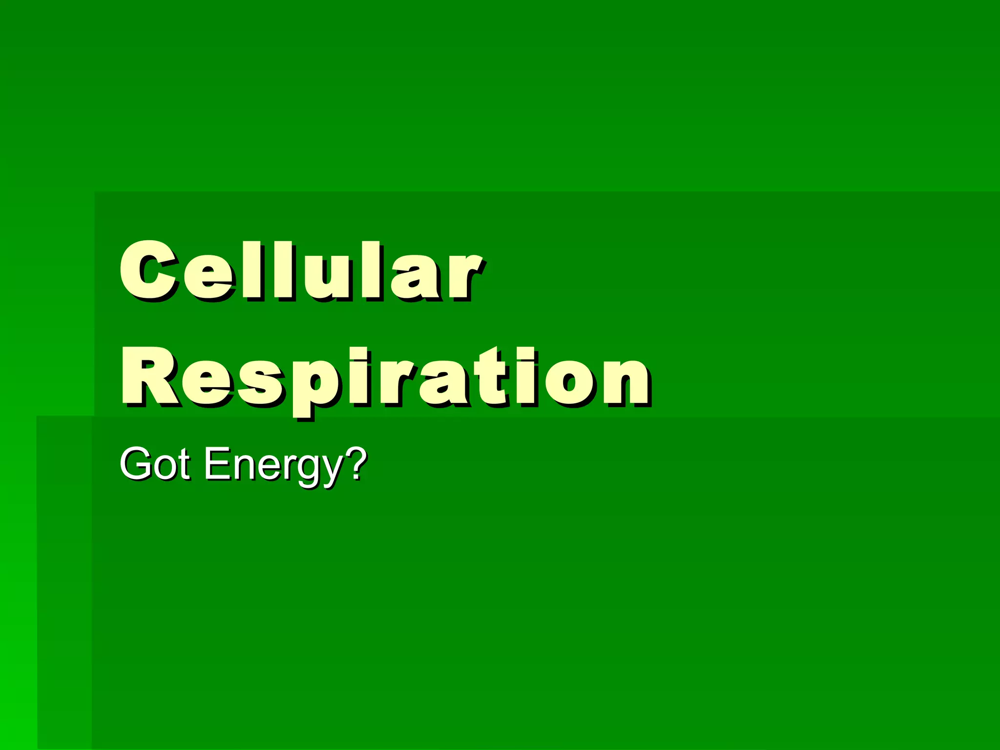 Cellular respiration | PPT