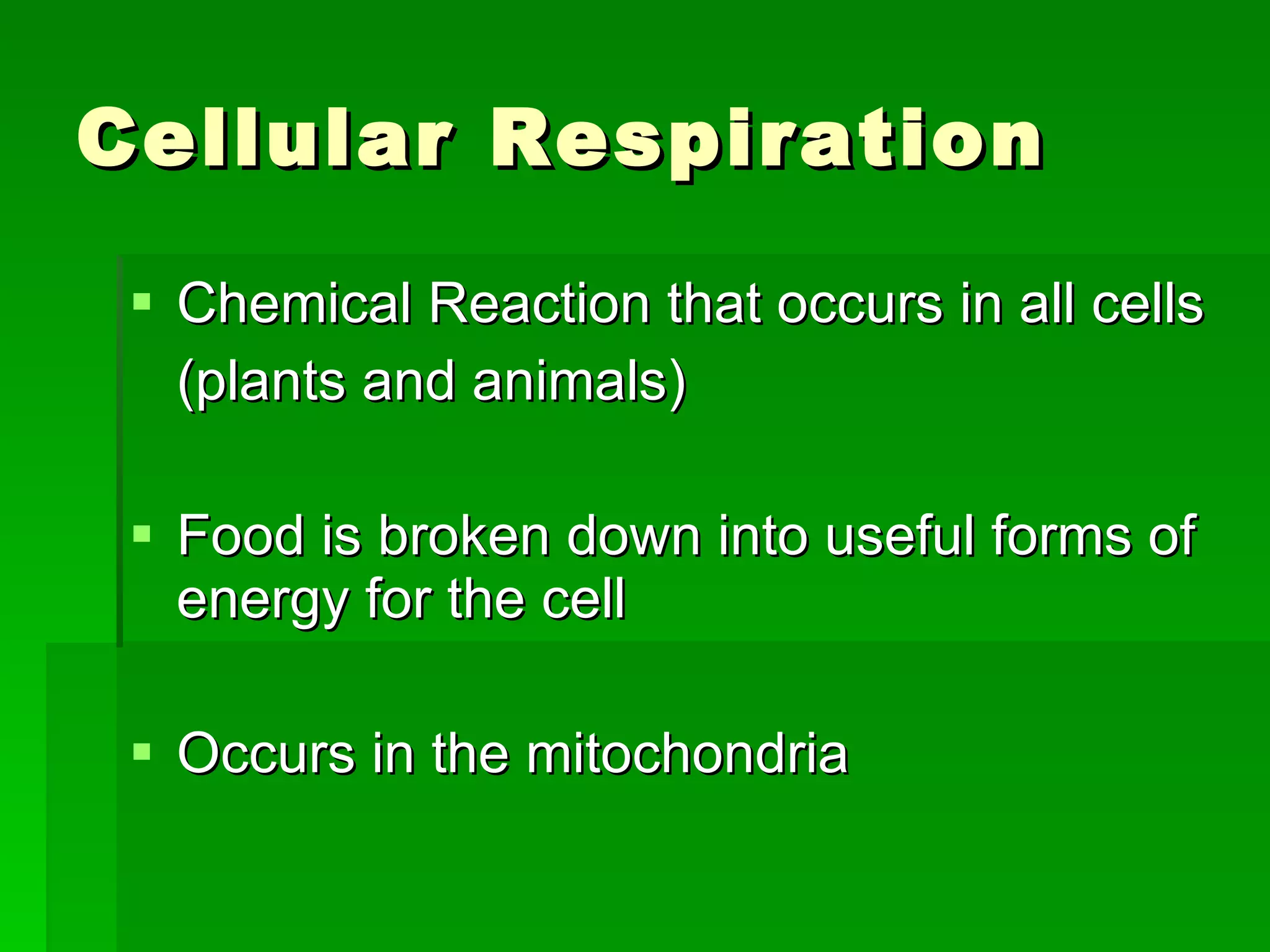 Cellular respiration | PPT