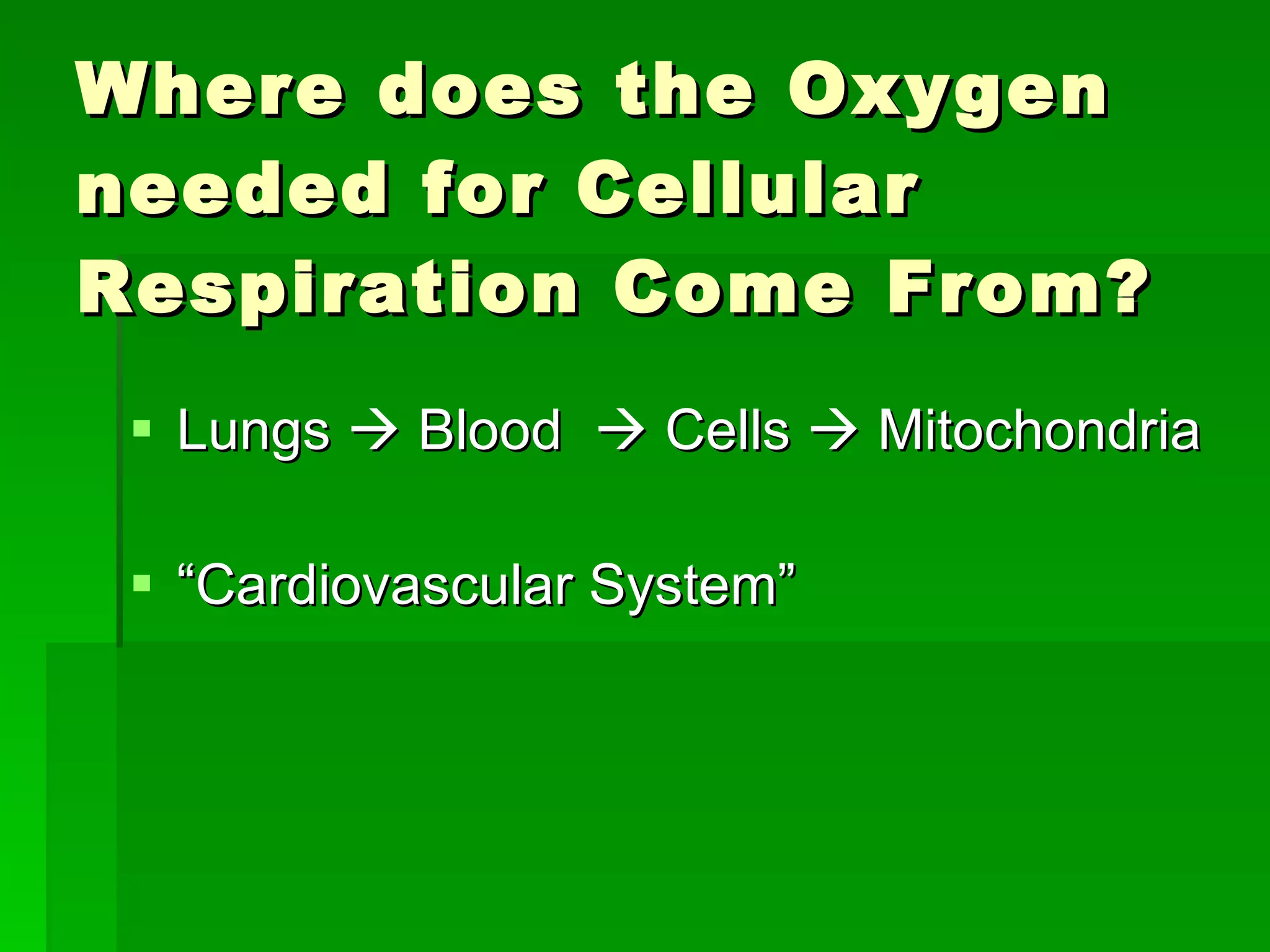 Cellular respiration | PPT