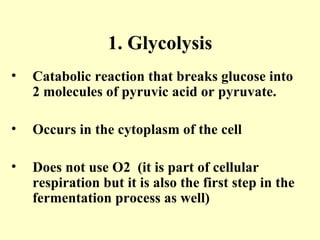 Cellular respiration | PPT
