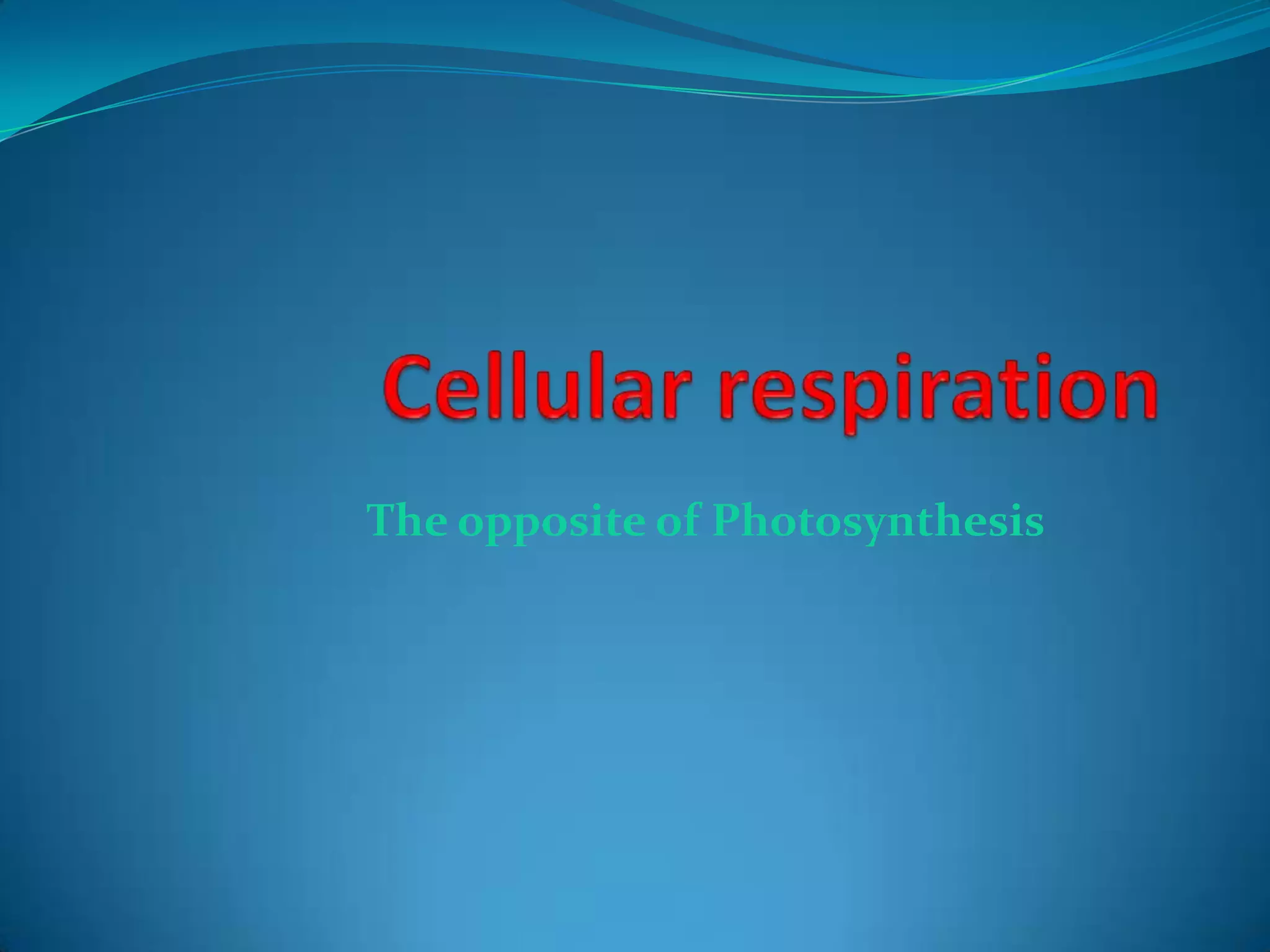 Cellular respiration | PPT