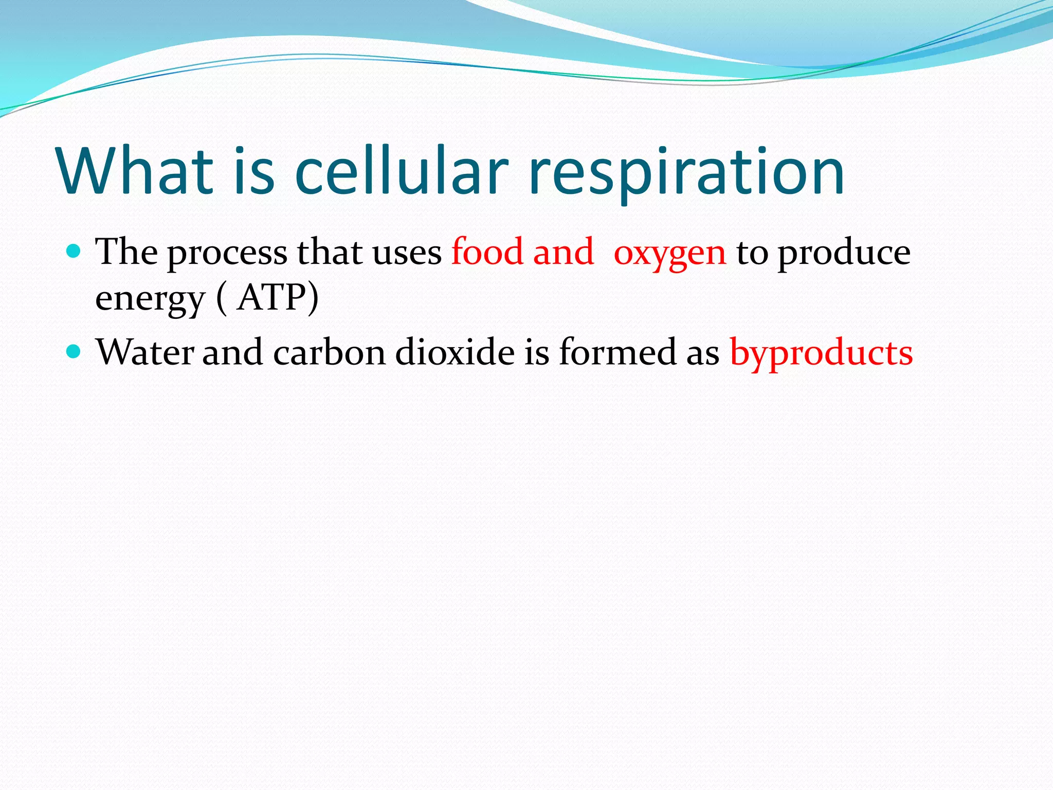 Cellular respiration | PPT