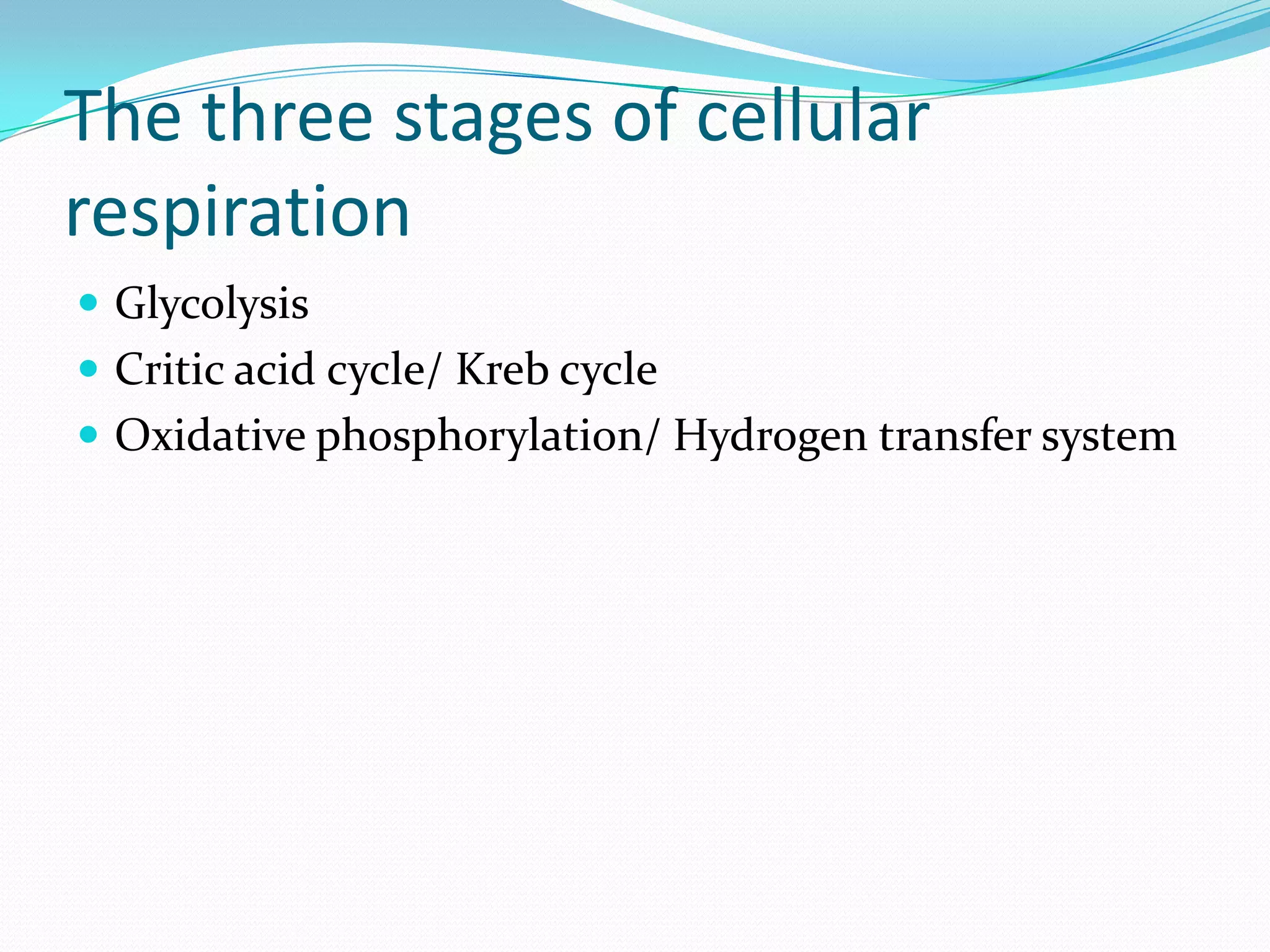 Cellular respiration | PPT