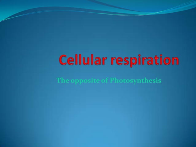 Cellular respiration | PPT
