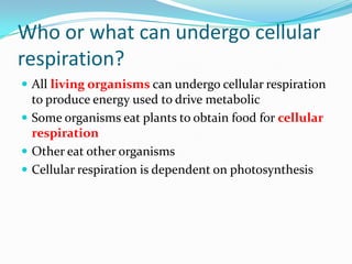 Cellular respiration | PPT