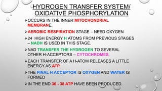 Cellular respiration | PPTX