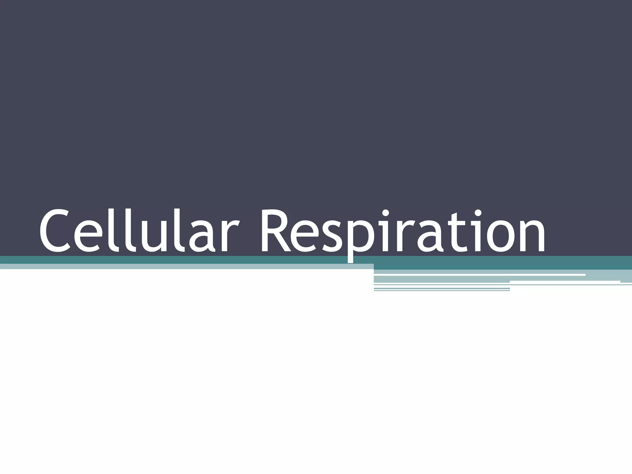 Cellular respiration | PPTX