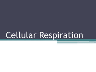 Cellular respiration | PPTX