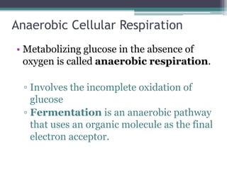 Cellular respiration | PPTX