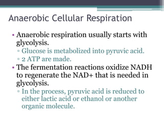 Cellular respiration | PPTX