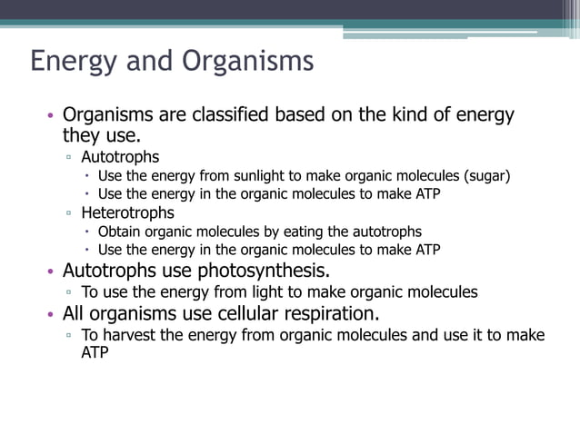 Cellular respiration | PPTX
