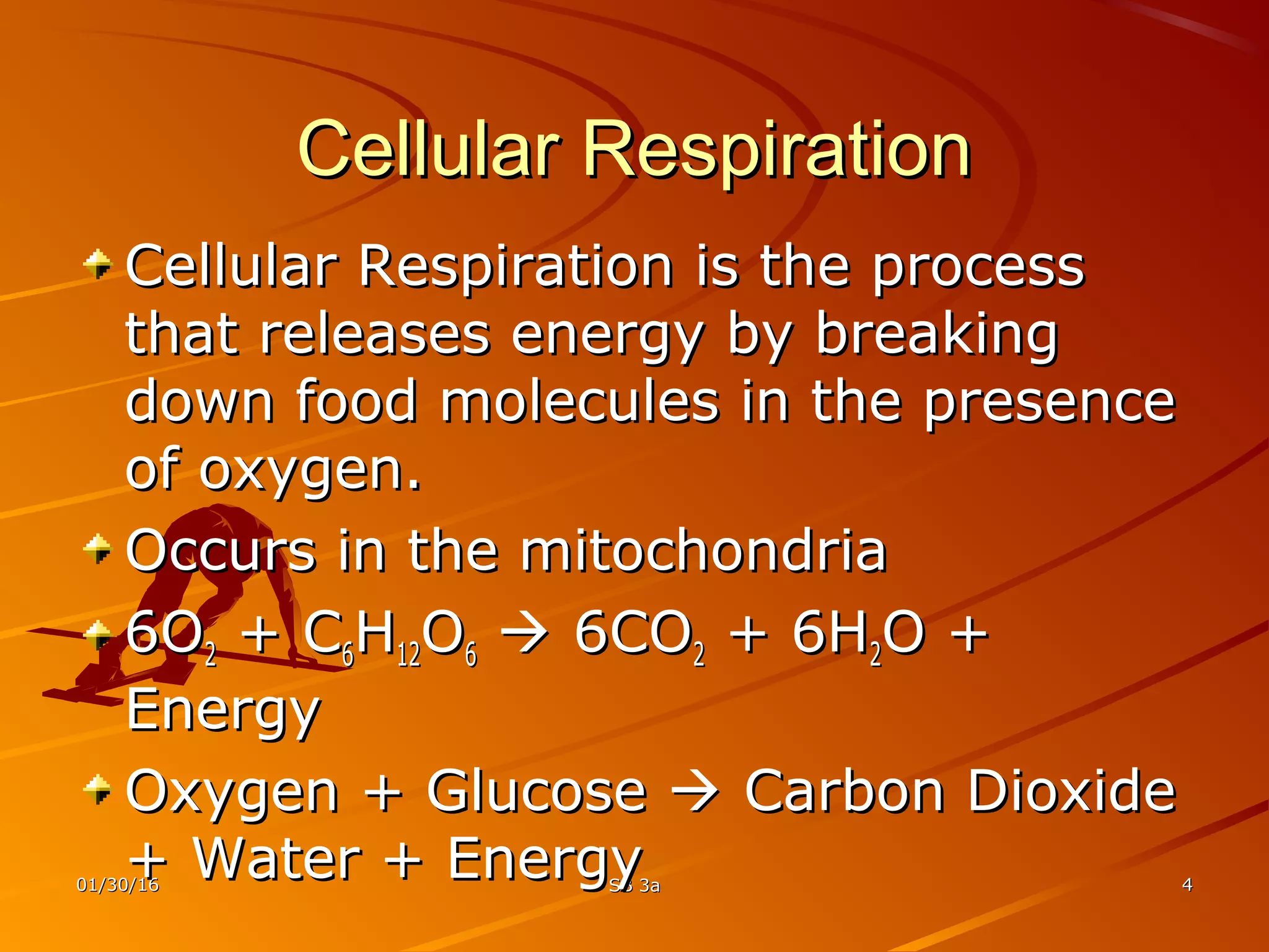 Cellular respiration | PPT