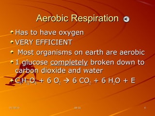 Cellular respiration | PPT