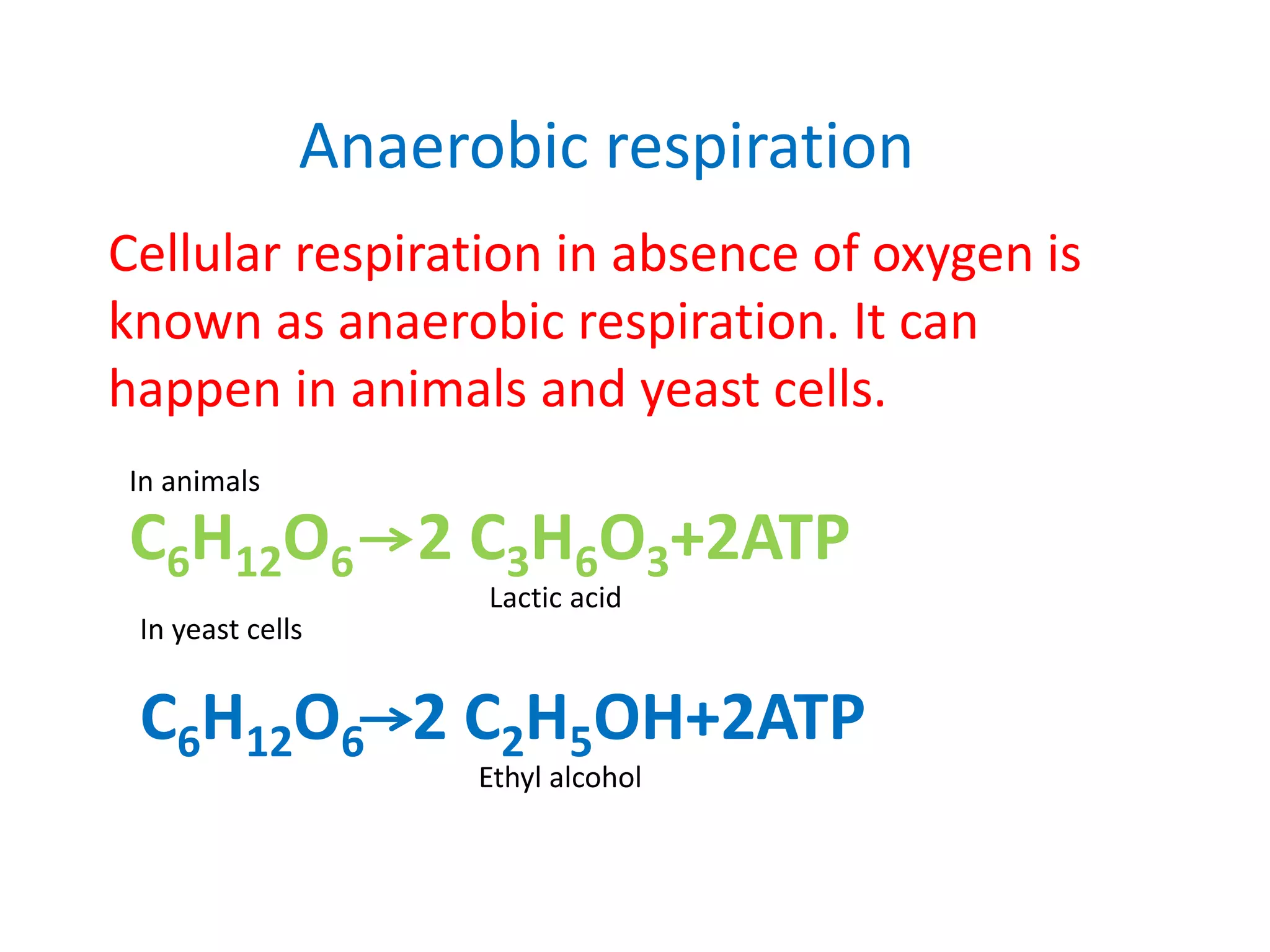 Cellular respiration | PPTX