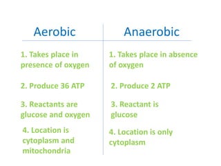 Cellular respiration | PPTX
