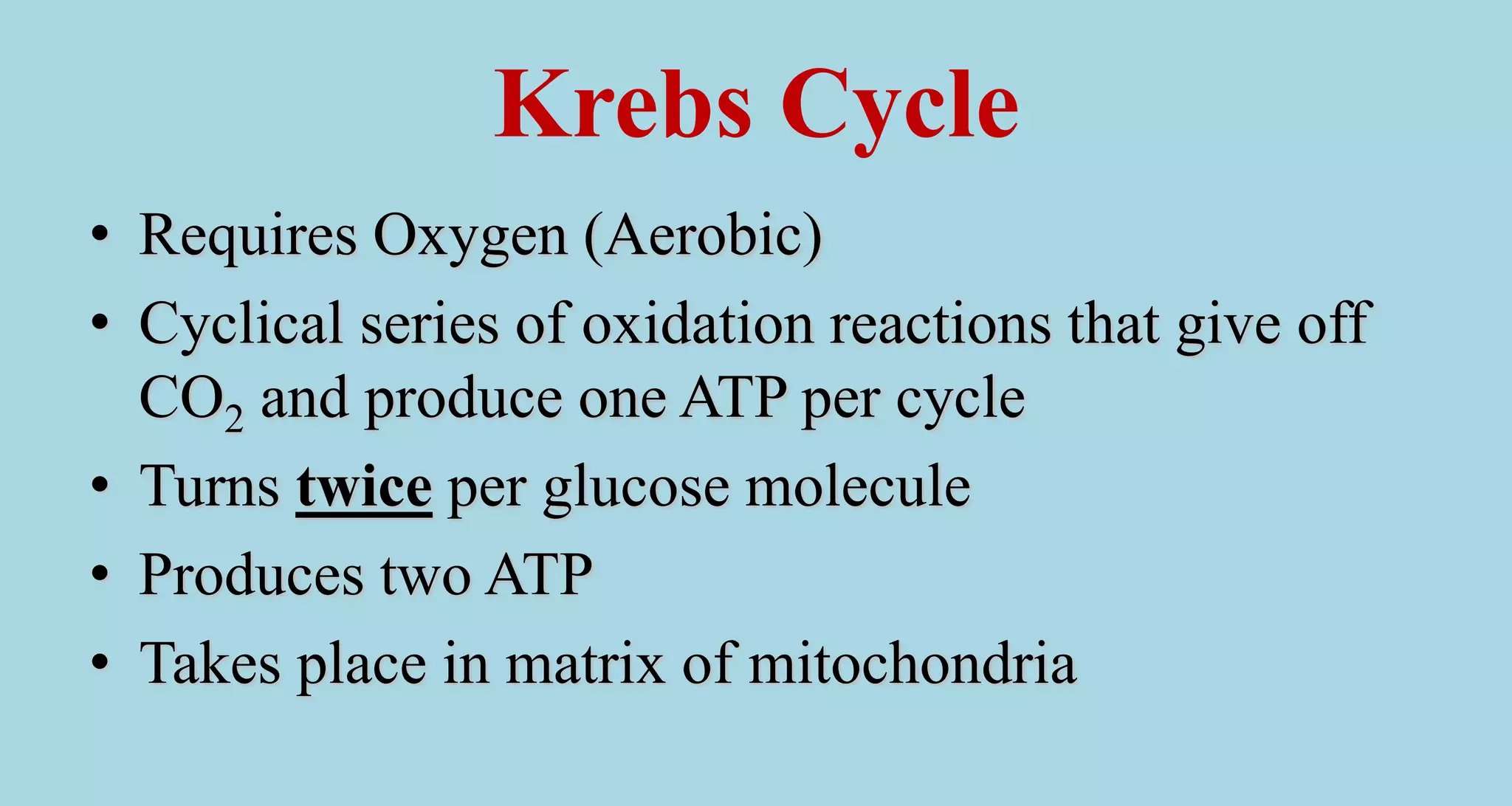 Cellular respiration | PPT