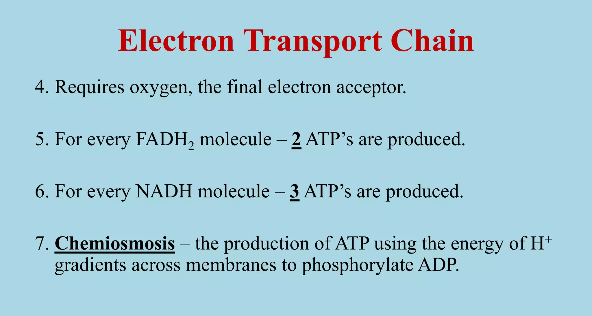 Cellular respiration | PPT
