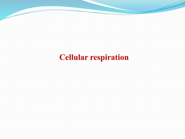 Cellular respiration | PPT