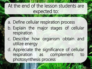 Cellular respiration | PPT