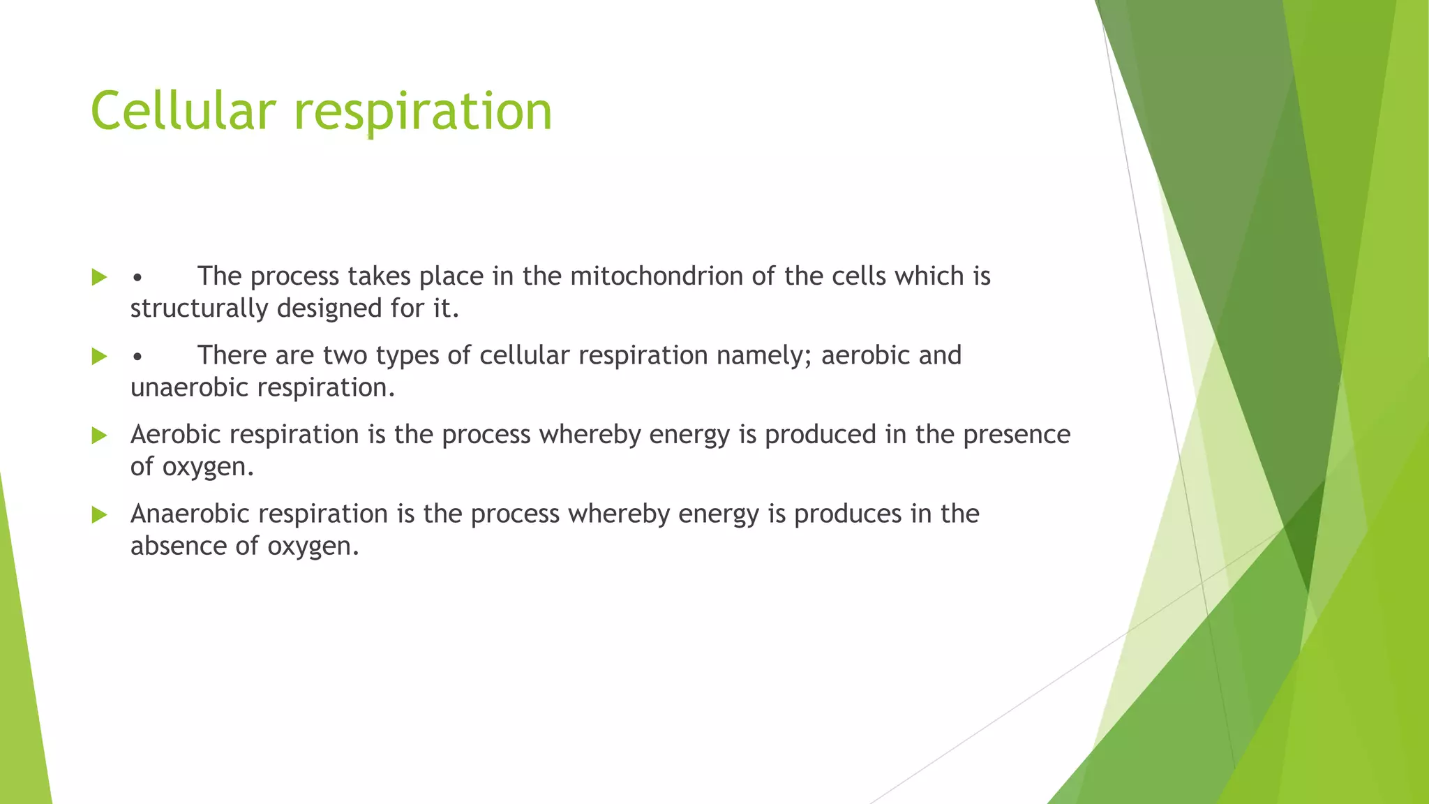 Cellular respiration | PPT