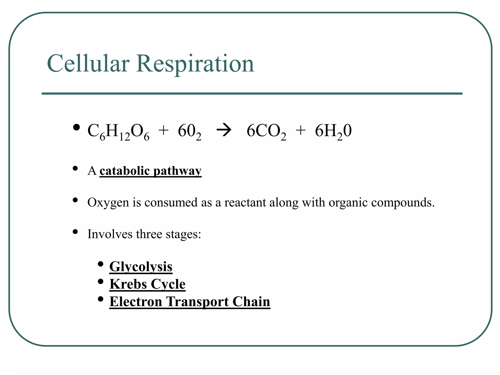 Cellular Respiration.ppt