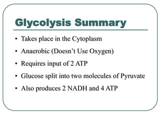 Cellular Respiration.ppt