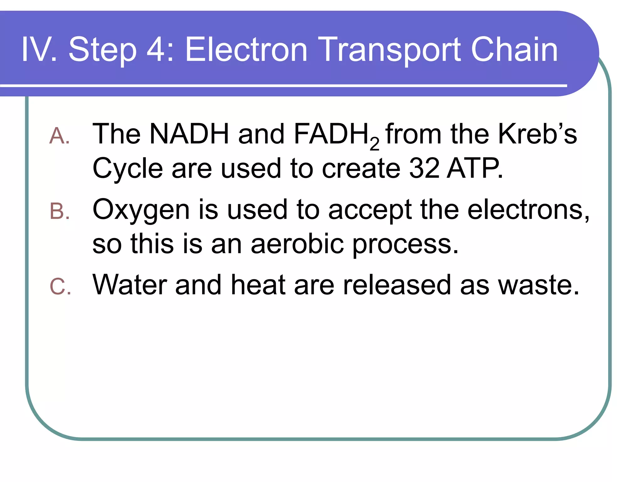 cellular_respiration.ppt