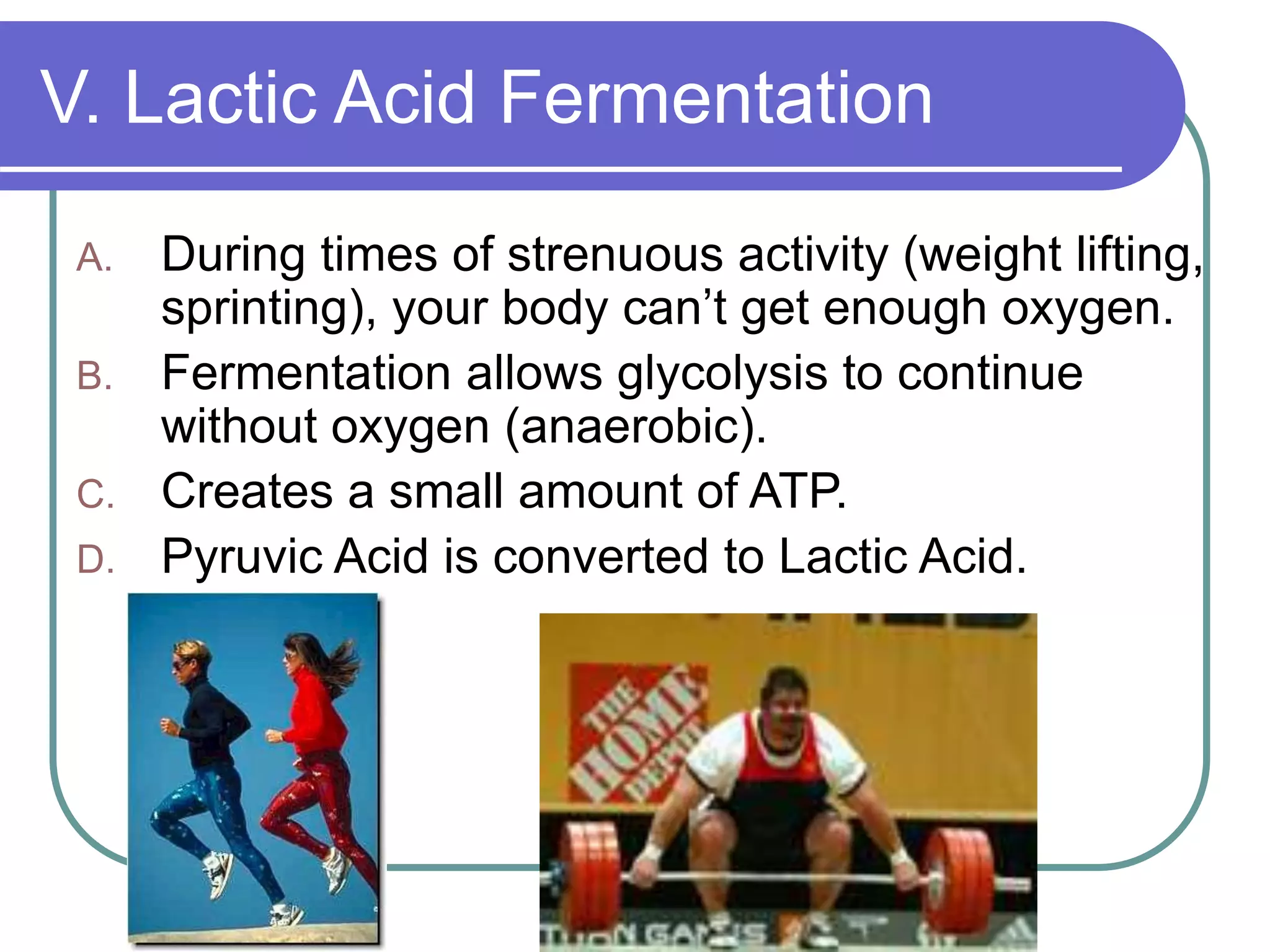 cellular_respiration.ppt